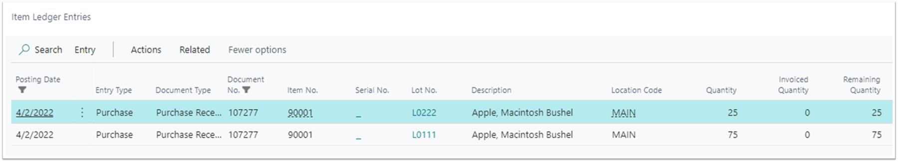 Lot Control in Business Central